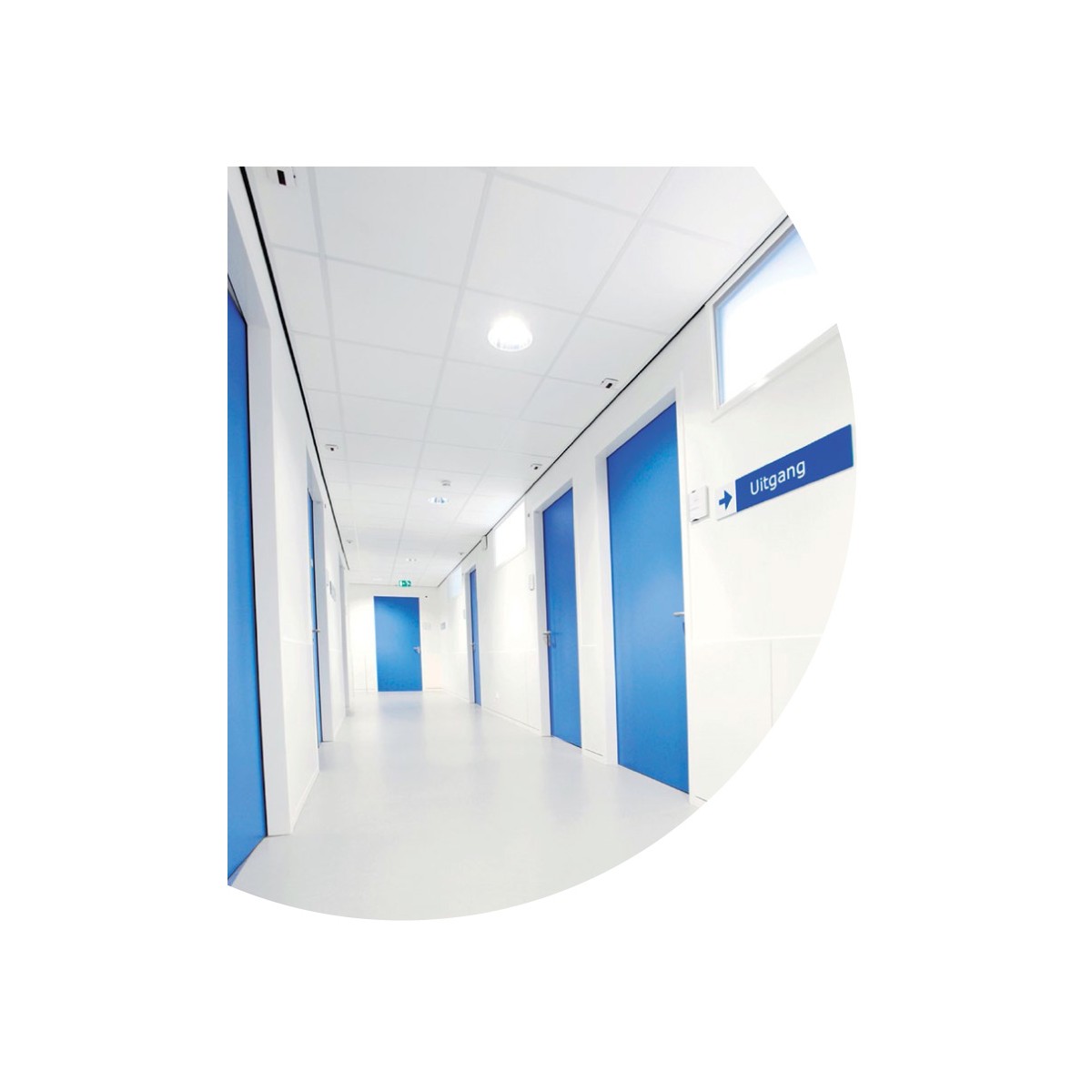 Techo acustico Tonga A